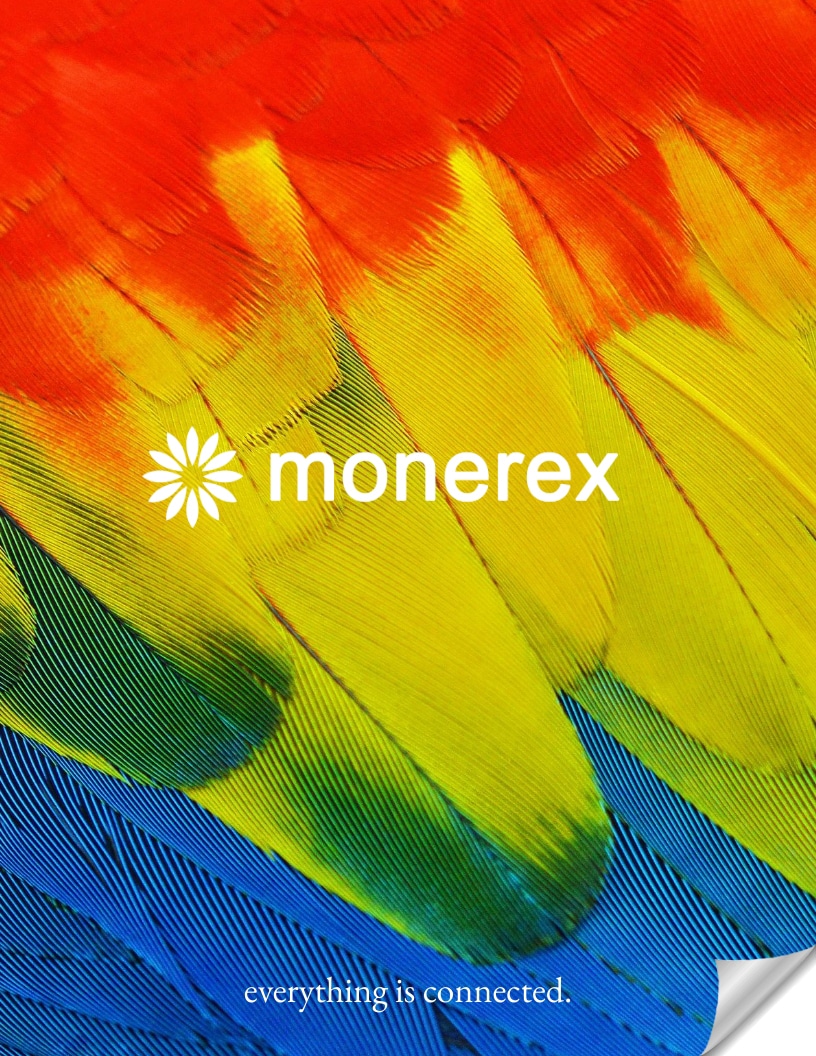 Monerex Payment Gateway | Insights - Monerex
